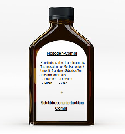 Das Harmonie bewirkende Potential von Luesinum – HP Post