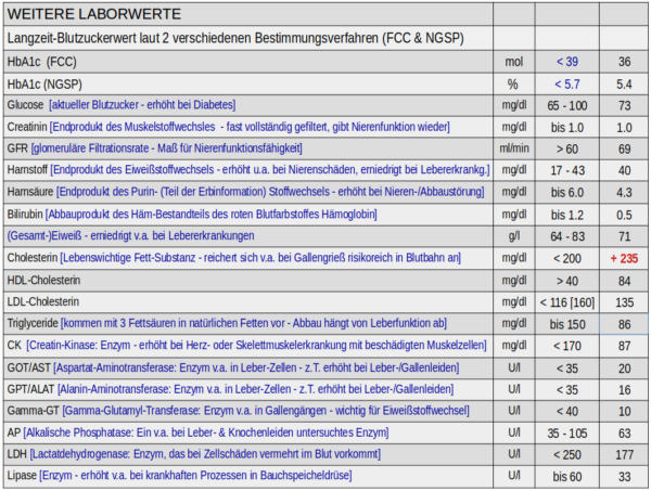Laborwerte einfacher und besser verstehen – HP Post
